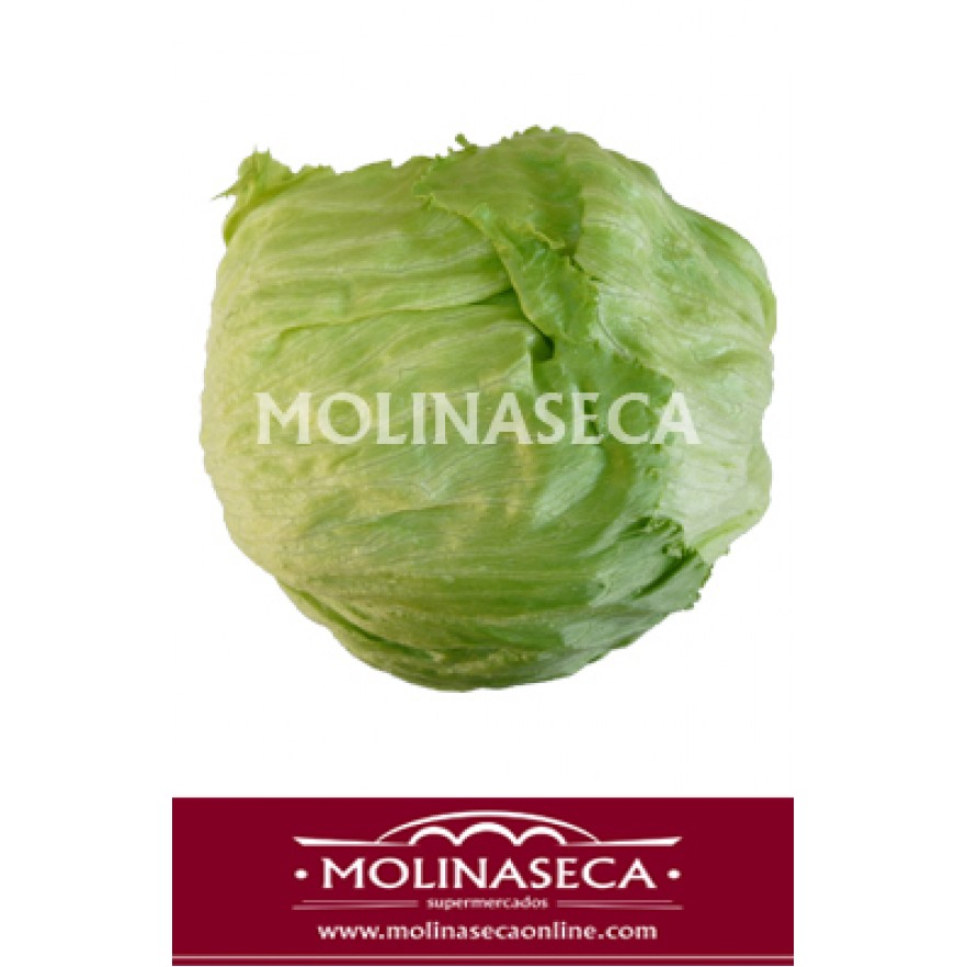 Lechuga Iceberg 1 unidad