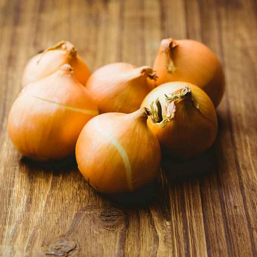 Cebolla Nueva peso aproximado malla 2 kg