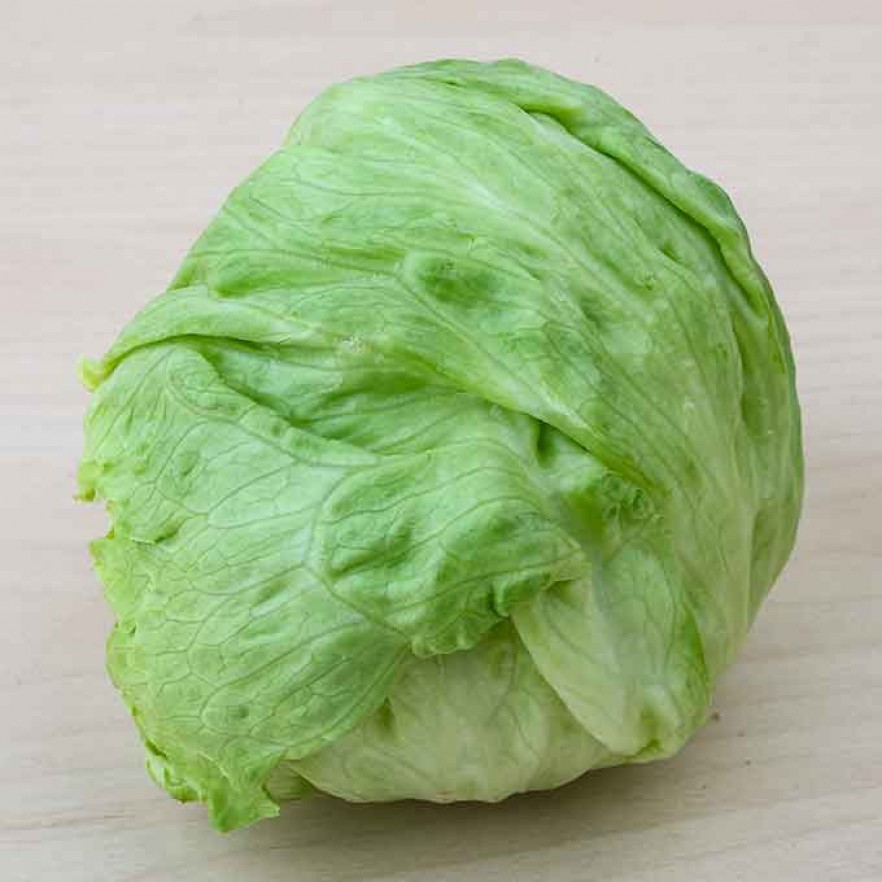 Lechuga Iceberg 1 unidad